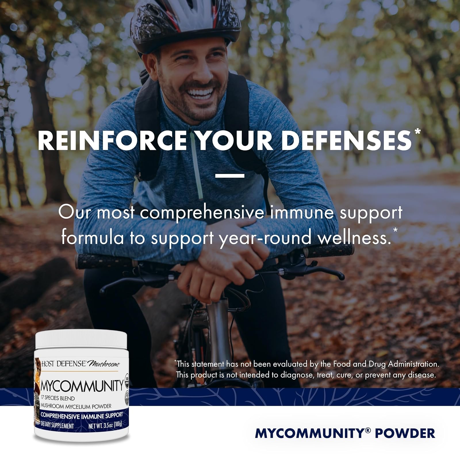 lions mane mushroom cognitive support