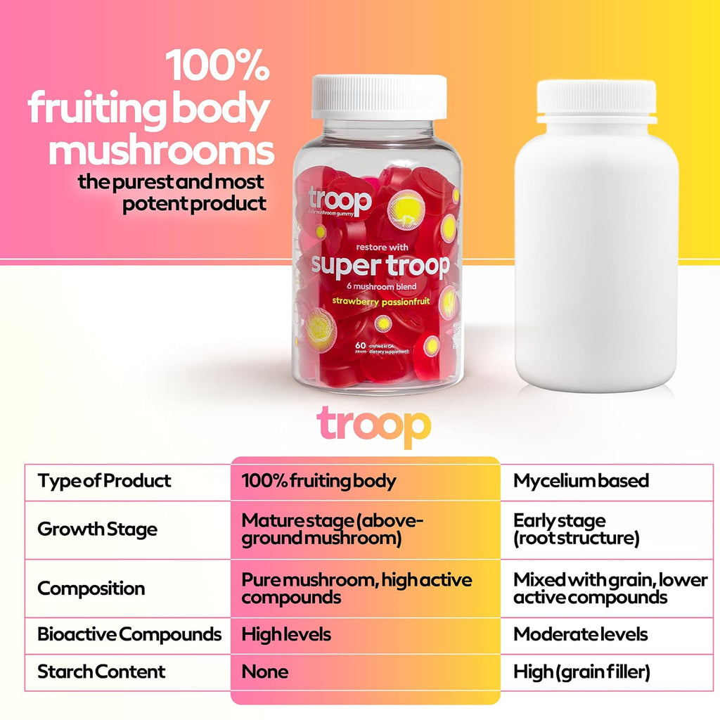 lions mane mushroom cognitive support