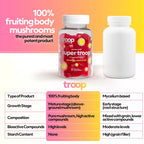 lions mane mushroom cognitive support