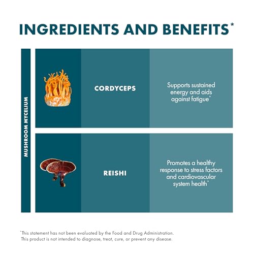 lions mane mushroom cognitive support