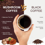lions mane mushroom energy boost