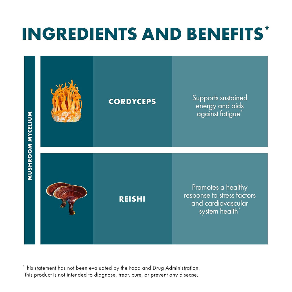 Lions mane mushroom for cognitive health