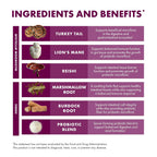 lions mane mushroom for cognitive health