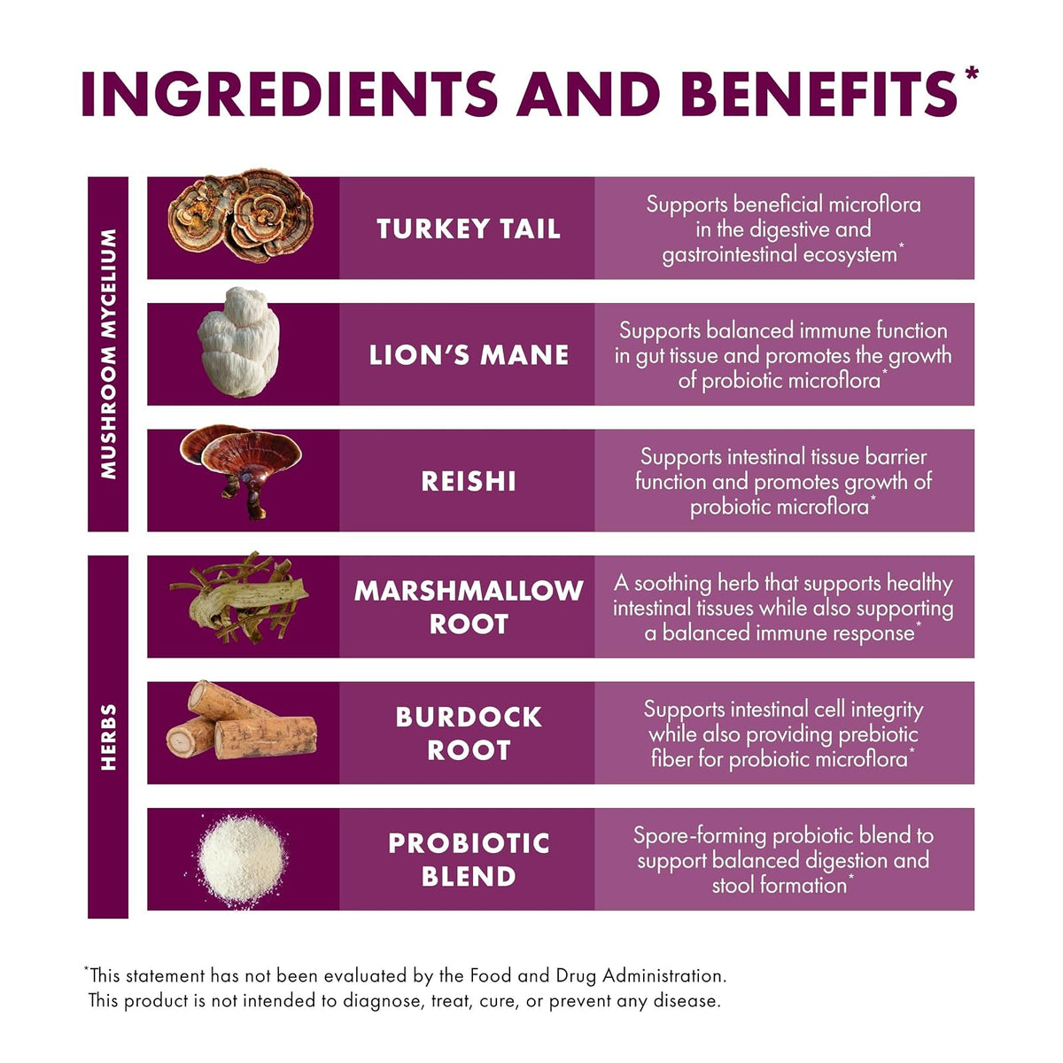 lions mane mushroom for cognitive health