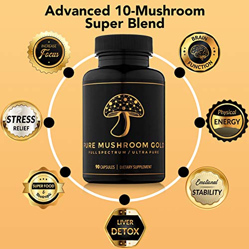 Lions Mane mushroom for cognitive support