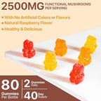 lions mane mushroom for cognitive support