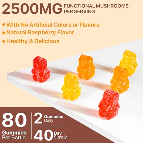 lions mane mushroom for cognitive support