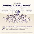 lions mane mushroom for focus