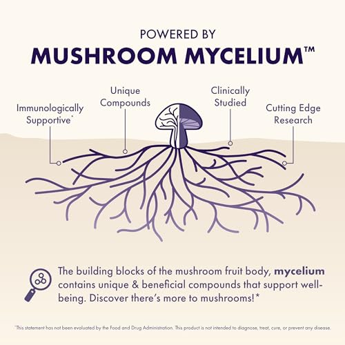 lions mane mushroom for focus