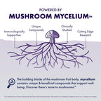 lions mane mushroom for mental clarity
