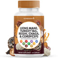 Lions Mane mushroom supplement benefits