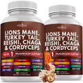 Lions Mane mushroom supplement benefits