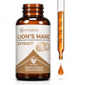 Lions Mane mushroom tincture benefits
