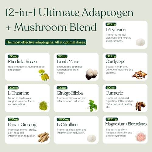 Lions Mane mushrooms for cognitive support