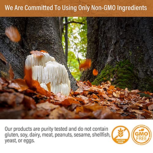 Lions Mane mushrooms for cognitive support