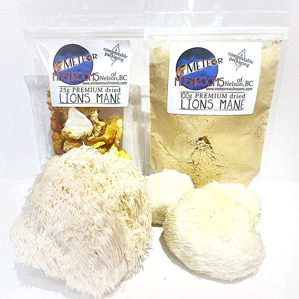 lions mane mushrooms for cognitive support