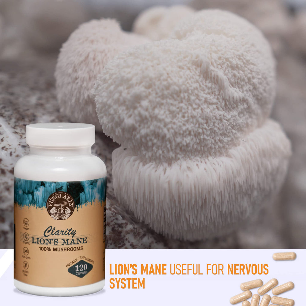 lions mane mushrooms for stress relief