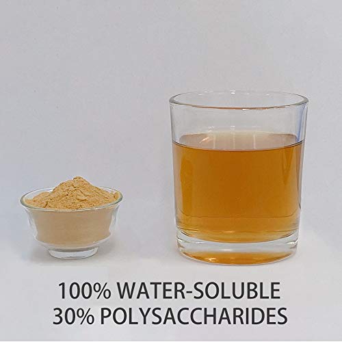 Lions Mane powder for mental clarity