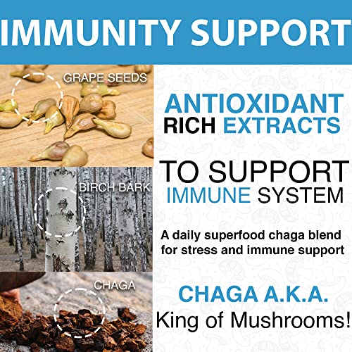 Lions Mane supplement for stress relief