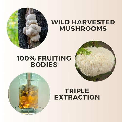 Lions Mane Think mushroom health benefits