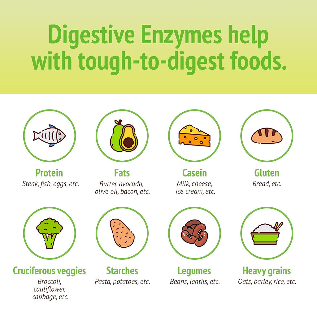 Lipase and protease capsules for gut health