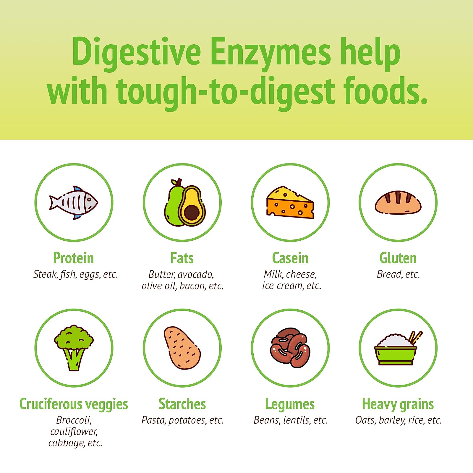 Lipase and protease capsules for gut health