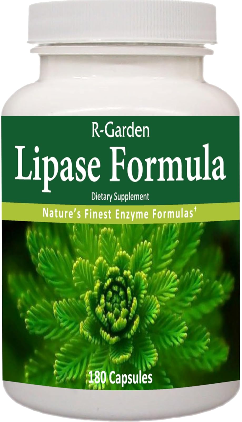 Lipase Formula digestive enzyme capsules