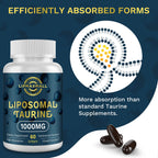 lipmaxmall amino acids for wellness