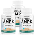 Liposomal AMPK support for energy