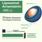 Liposomal Artemisinin multivitamin for men