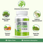 Liposomal Artemisinin multivitamin for seniors