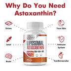 Liposomal Astaxanthin supports immune function