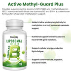 liposomal b complex immune support