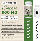 liposomal coq10 for better absorption