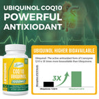 Liposomal CoQ10 for enhanced bioavailability