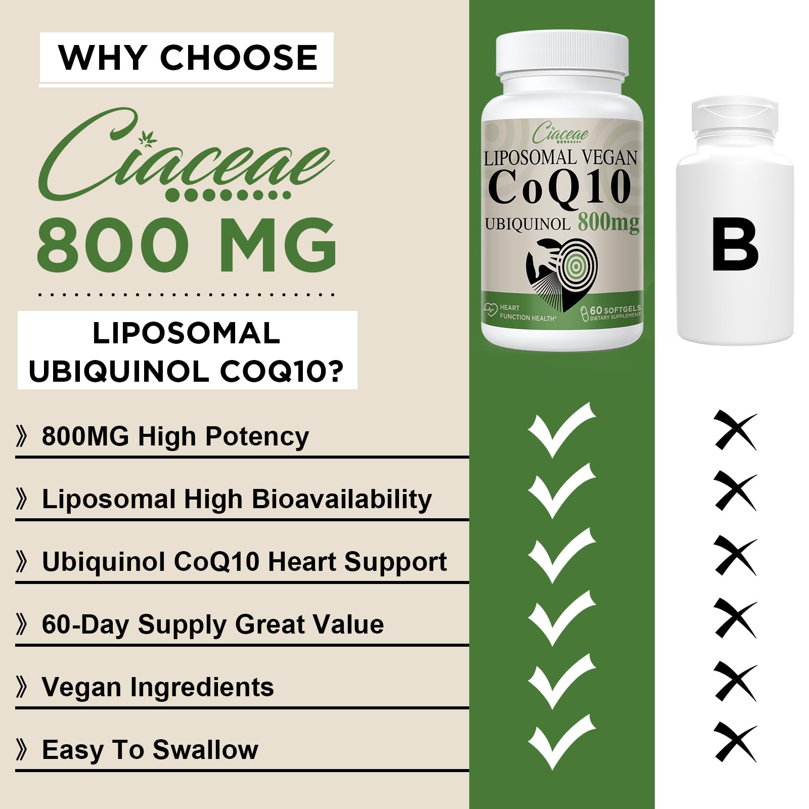liposomal coq10 supports energy production