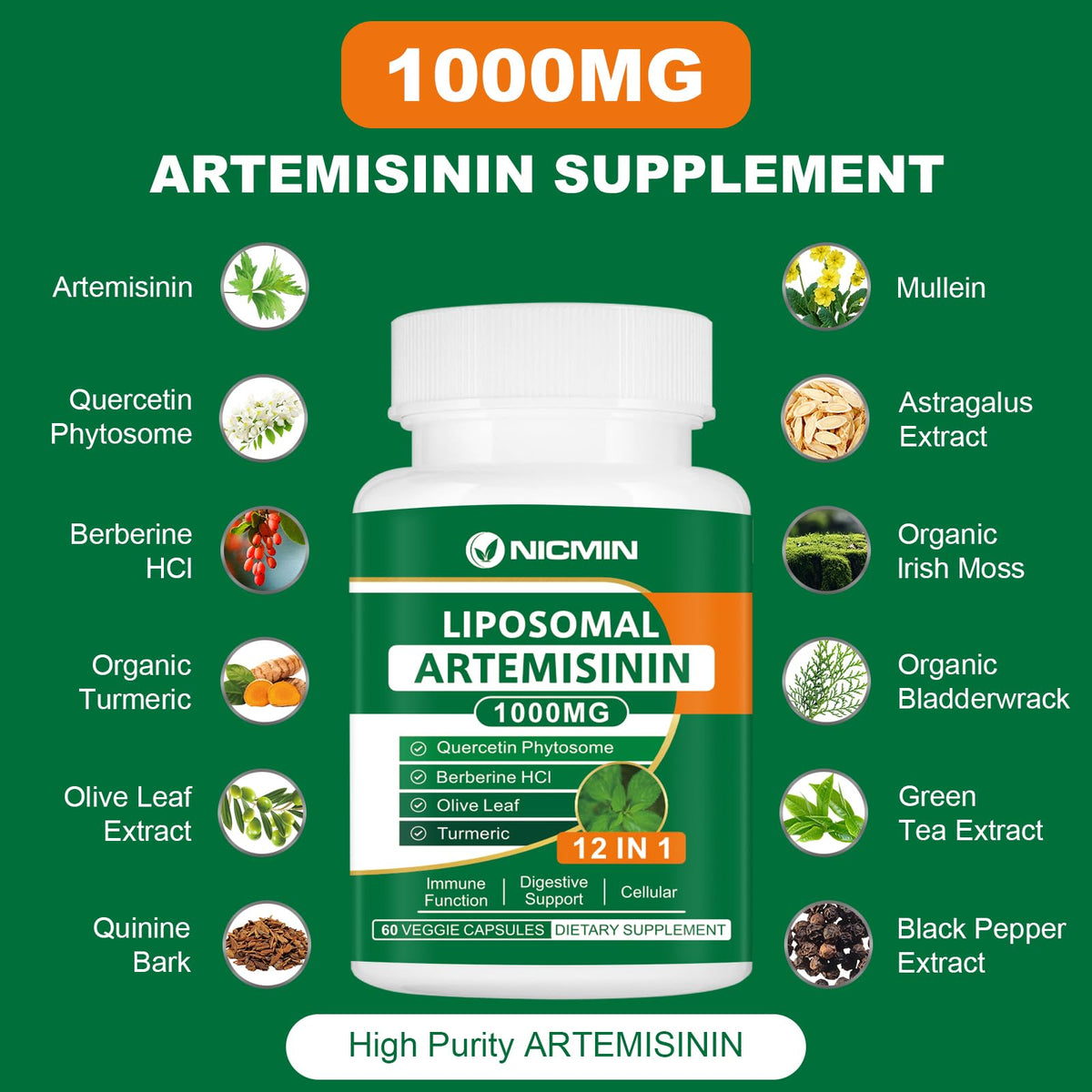 Liposomal delivery for better absorption