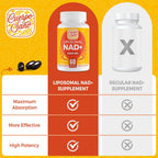 liposomal delivery for better absorption