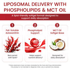 Liposomal delivery for better absorption