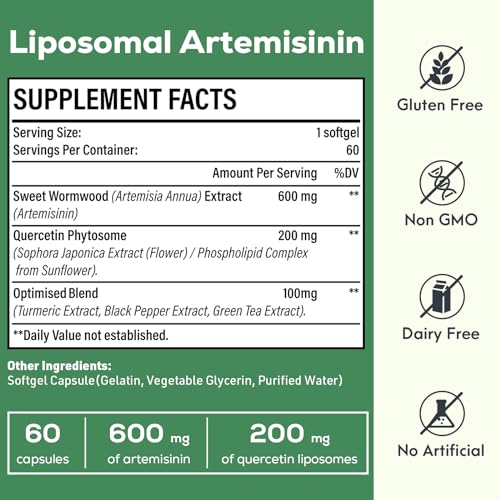 liposomal delivery for enhanced absorption