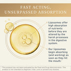 Liposomal delivery for maximum absorption
