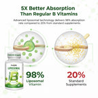 Liposomal delivery for maximum efficacy