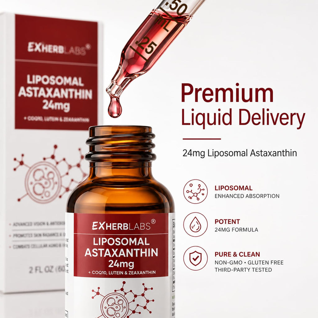 Liposomal delivery system for absorption