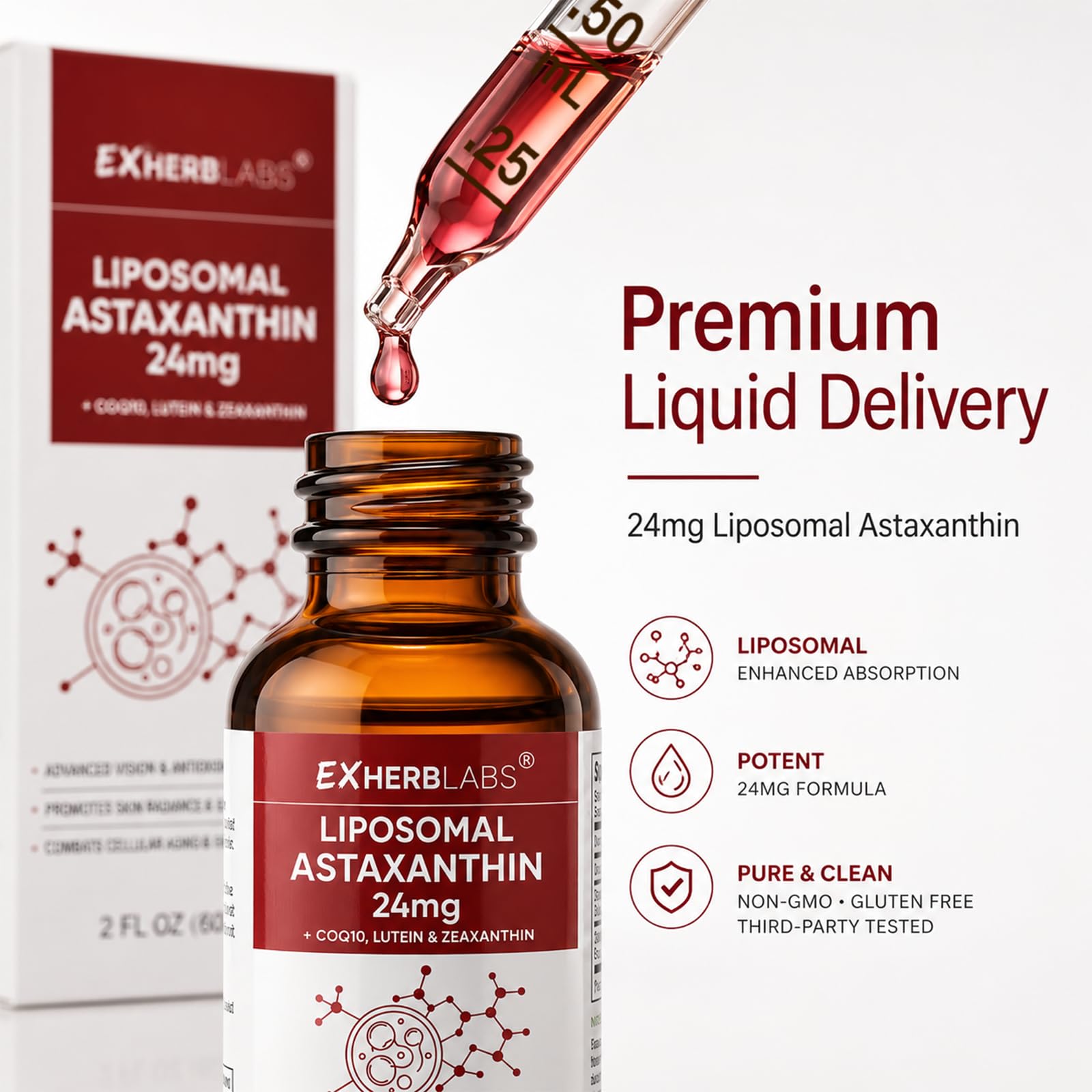 Liposomal delivery system for absorption