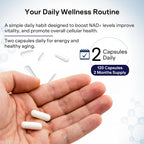 Liposomal delivery system for nutrients