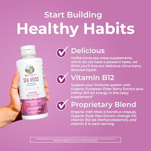 liposomal elderberry for better absorption