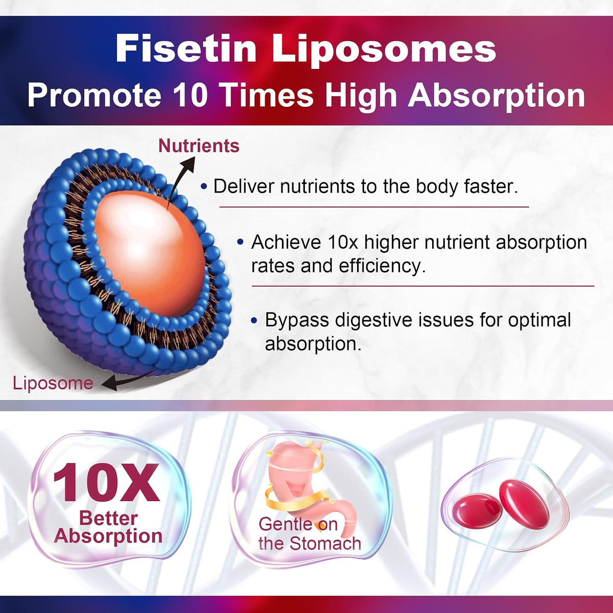 Liposomal Fisetin for healthy aging