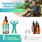 Liposomal formula for better absorption
