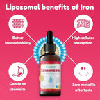 Liposomal iron supplement for women