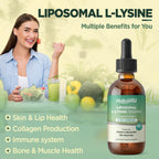 liposomal l-lysine for better absorption